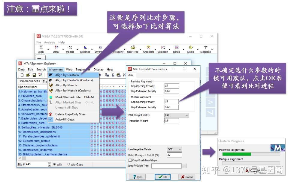 用Mega做进化树 - 知乎
