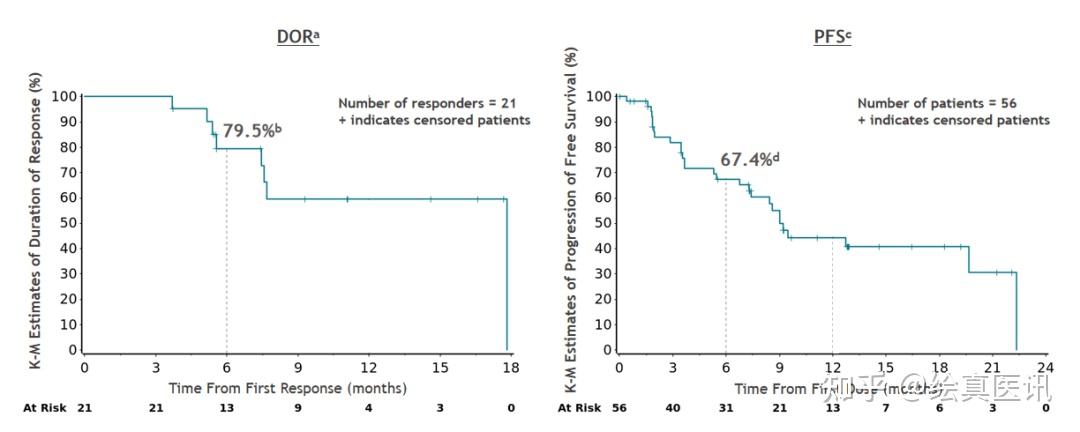 瑞普替尼上市在即！针对ROS1阳性非小细胞肺癌获CDE和FDA优先审评 - 知乎