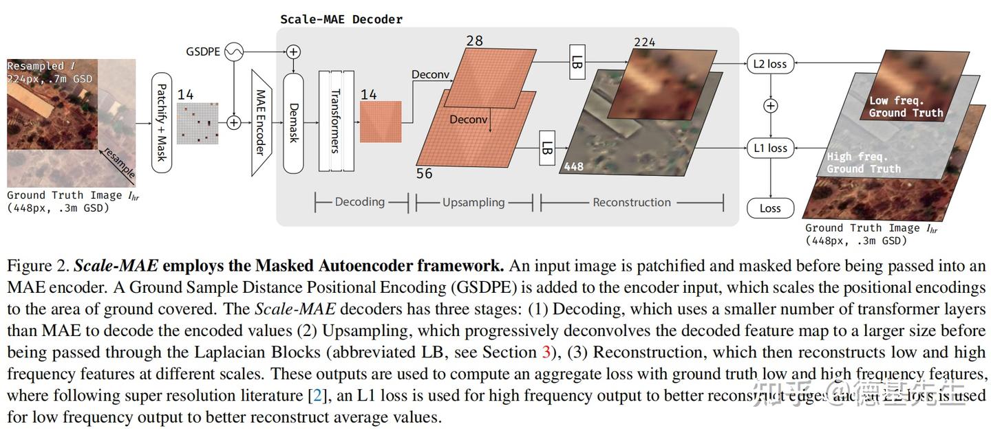 MAE及其变体，不会写很详细（2025年整理） - 知乎