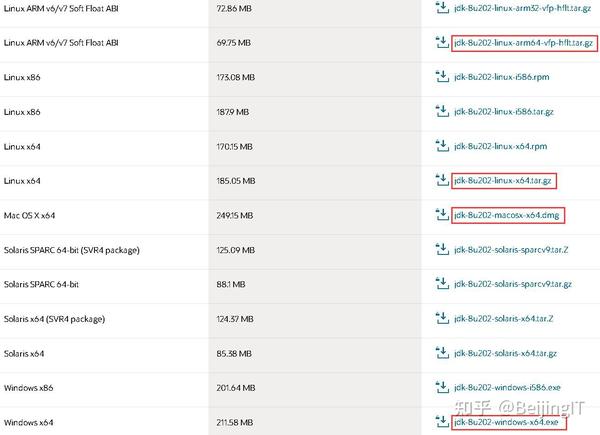 Java 8 开发语言JDK环境配置与信创选择 - 知乎