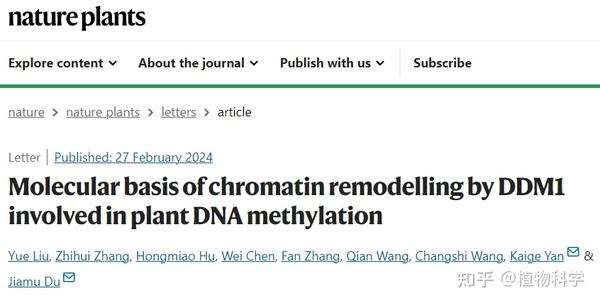 Nature Plants | 南科大生科院杜嘉木课题组与闫凯歌课题组合作揭示染色质重塑酶DDM1调控植物DNA甲基化的作用机制 - 知乎