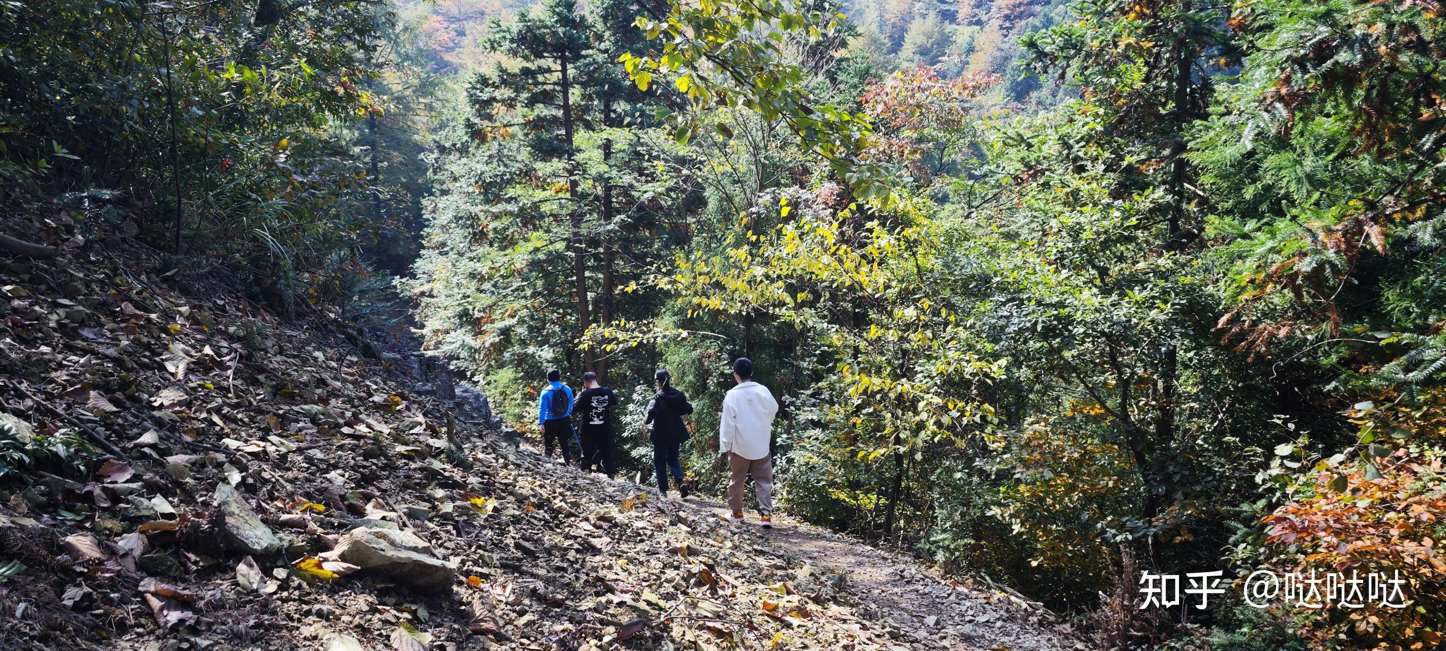 宁波余姚 秋日 徒步路线 （十字裤）（余姚四明山国家森林公园旁） - 知乎