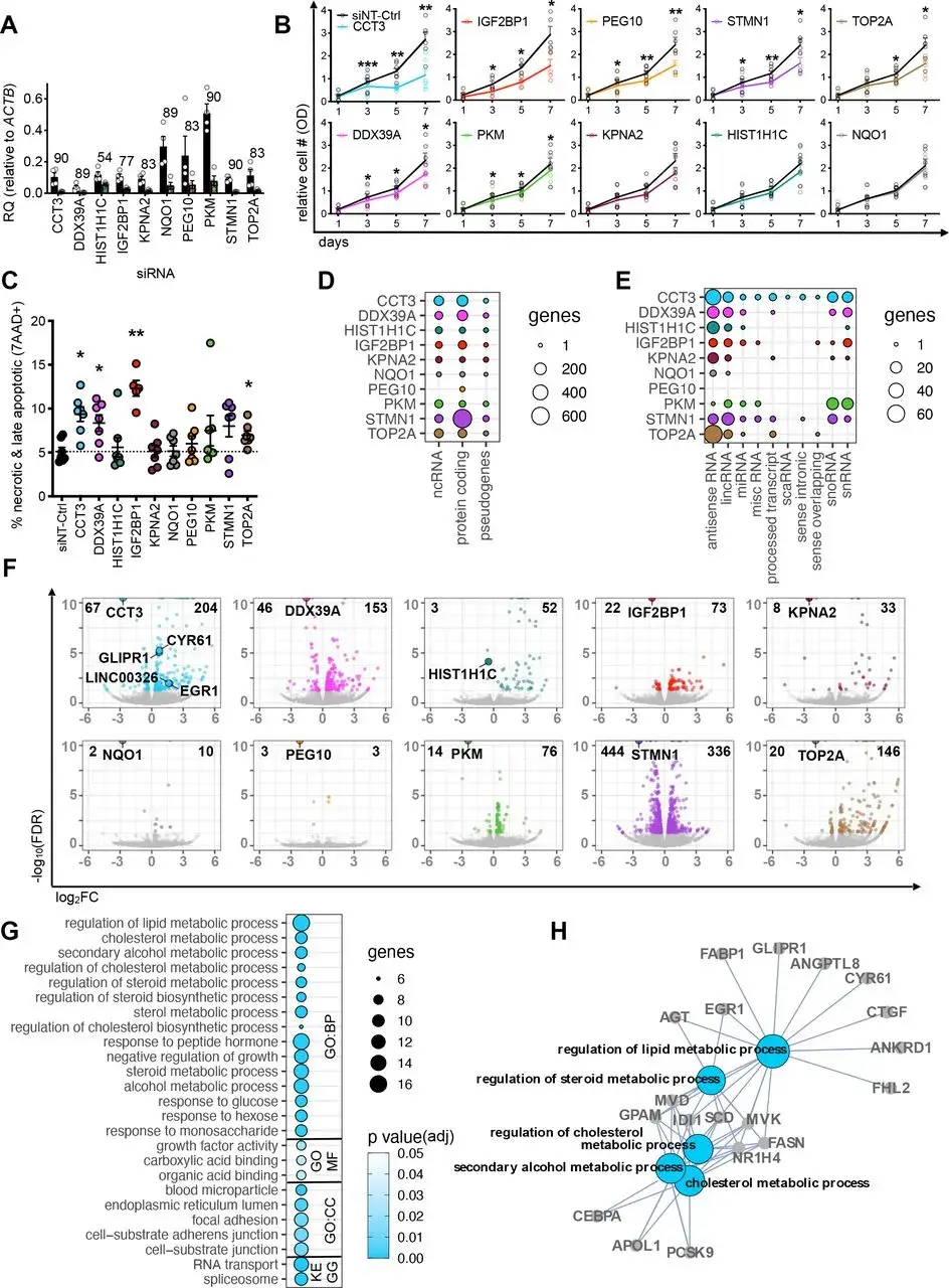 Gut | 高通量研究RNA结合蛋白-lncRNA相互作用，发现新的肝癌抑癌机理 - 知乎