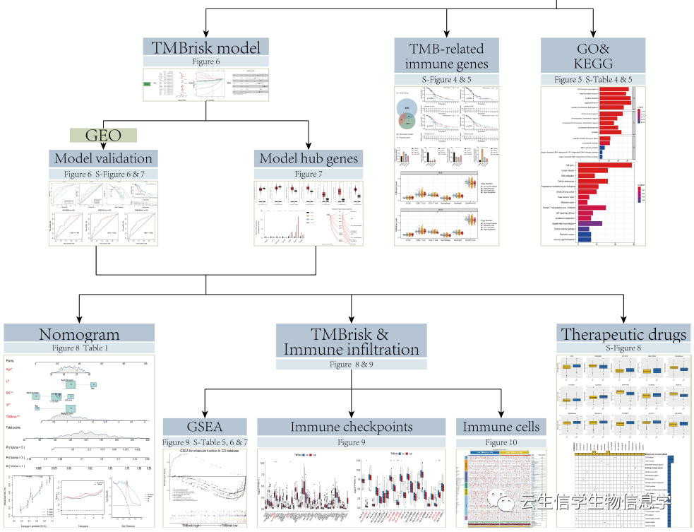 什么样的生信文章仨月就接收？带你看点肿瘤突变负荷 (TMB)不一样的分析法，“三步”完成8分+Frontiers！ - 知乎