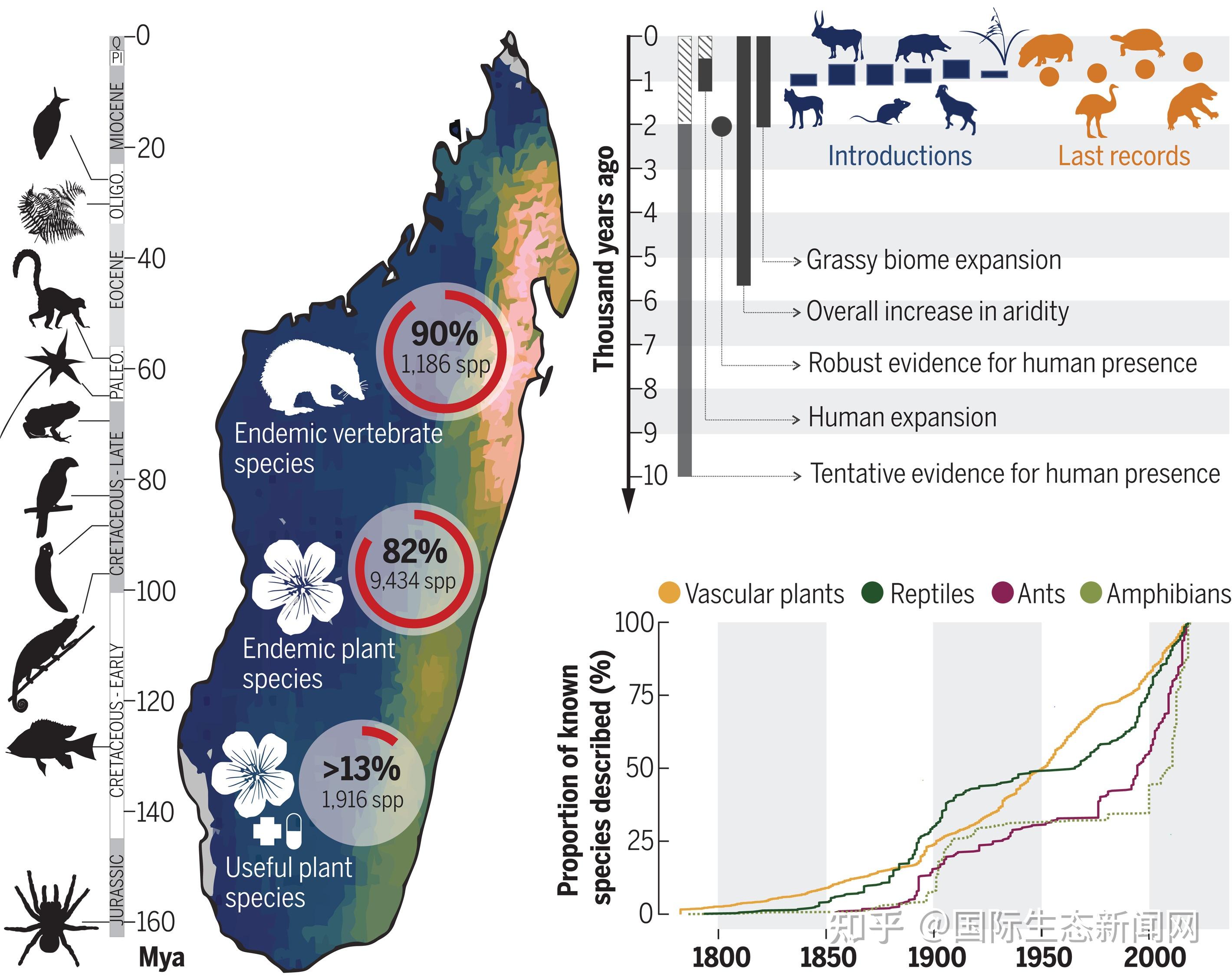SCIENCE：马达加斯加非凡的生物多样性：进化、分布和利用 - 知乎