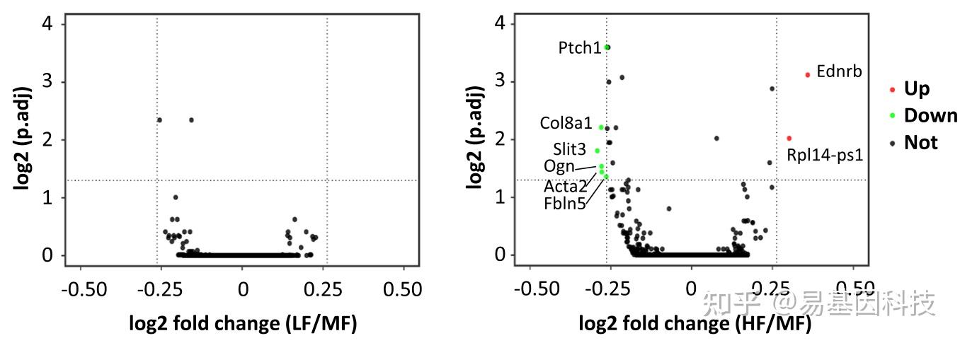 易基因：RNA-BS揭示叶酸调控神经干细胞m5C修饰和mRNA翻译机制｜科研速递 - 知乎