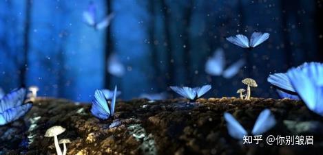 最欢乐的人是想着最趣味味的思想的人，因而我们是愈老愈欢乐。 - 知乎