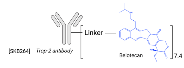 有效载荷（payload）的多样性：ADC药物未来开发的关键一环 - 知乎