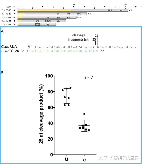 综述|mRNA加帽率测定方法研究进展 - 知乎