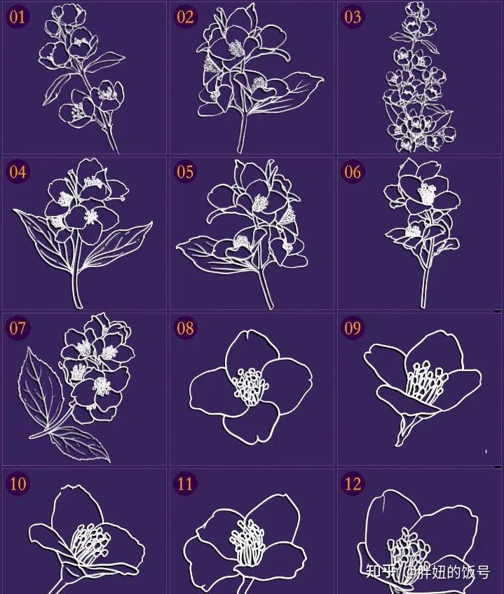 PS+procreate各种绝美花卉线稿笔刷 - 知乎