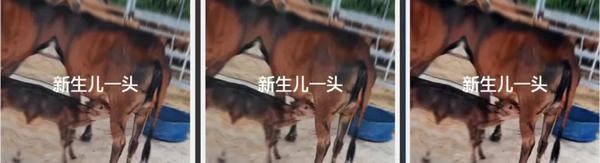 veImageX演进之路:HEIF图片编码压缩与优化 - 知乎