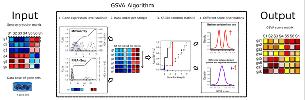 跟着 Nat Med. 学作图 | GSVA+limma差异通路分析+发散条形图 - 知乎