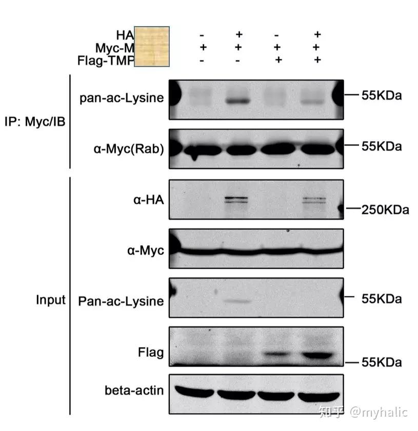 WB图片处理-教你利用Photoshop做出符合杂志要求的WB图片！ - 知乎