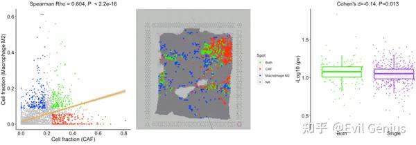 空间转录组数据分析软件推荐---SpaCET - 知乎