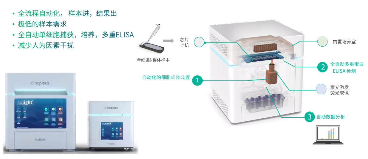 一文解锁IsoPlexis 全自动单细胞功能蛋白质组学分析系统！-上海玮驰仪器有限公司