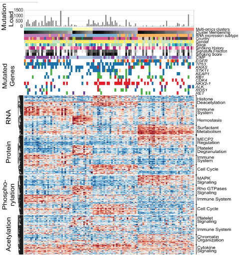 生信干货 | 疾病分子分型全流程解析 - 知乎