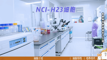NCI-H23细胞培养，人非小细胞肺癌细胞培养攻略 - 丰晖生物 - 知乎