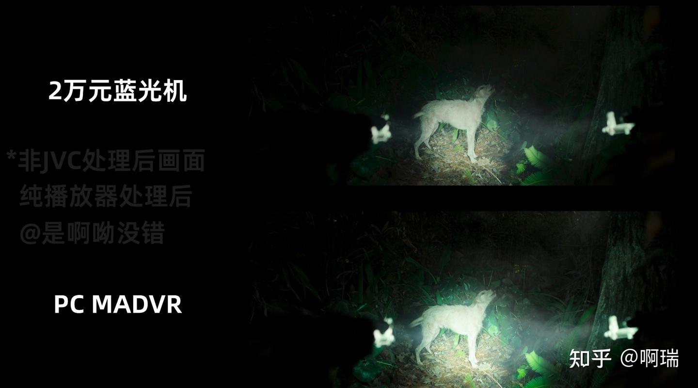 玩转madVR 一个视频榨干你显示设备的画质 提升200% - 知乎