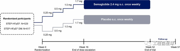 【耀文解读】司美格鲁肽心衰适应症的探索：STEP-HFpEF取得阳性结果 - 知乎