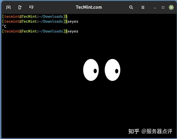在Linux终端中值得尝试的23个有趣的命令 - 知乎