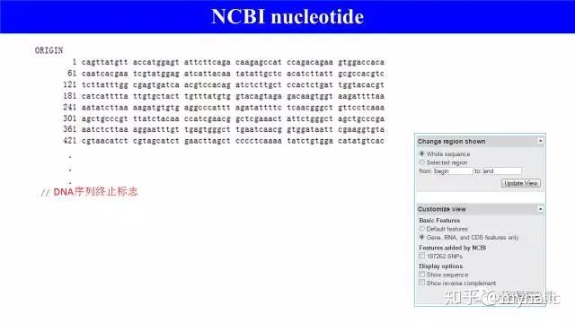 生信软件系列 - NCBI使用 - 知乎