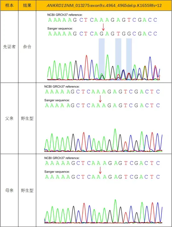 案例分享 | 罕见病基因诊断——KBG综合征 - 知乎