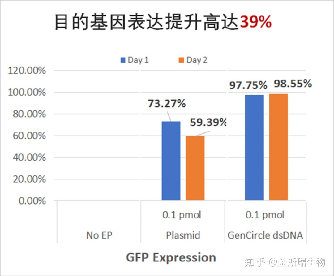 GenCircle dsDNA演绎极简美学！金斯瑞GCT试剂原料管线再添王牌 - 知乎