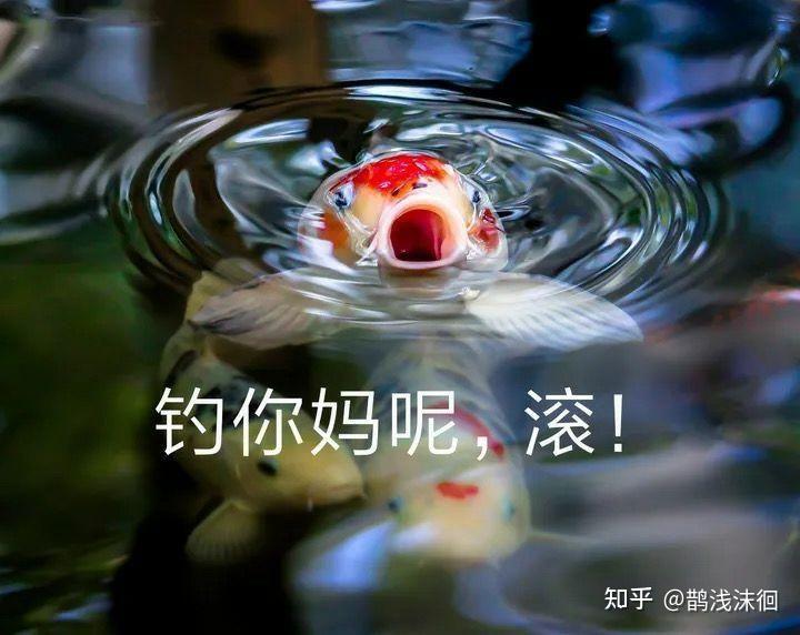 发疯语录（摘自各种文案） - 知乎