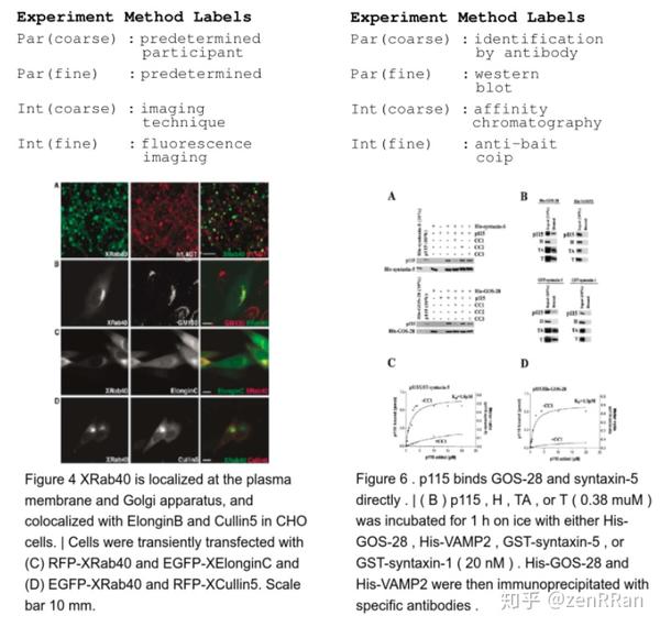 AAAI2021 | MELINDA：一篇构建多模态数据集的论文 - 知乎
