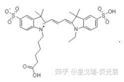 荧光标记亲和素-FITC、CY3、RB星戈瑞 - 知乎