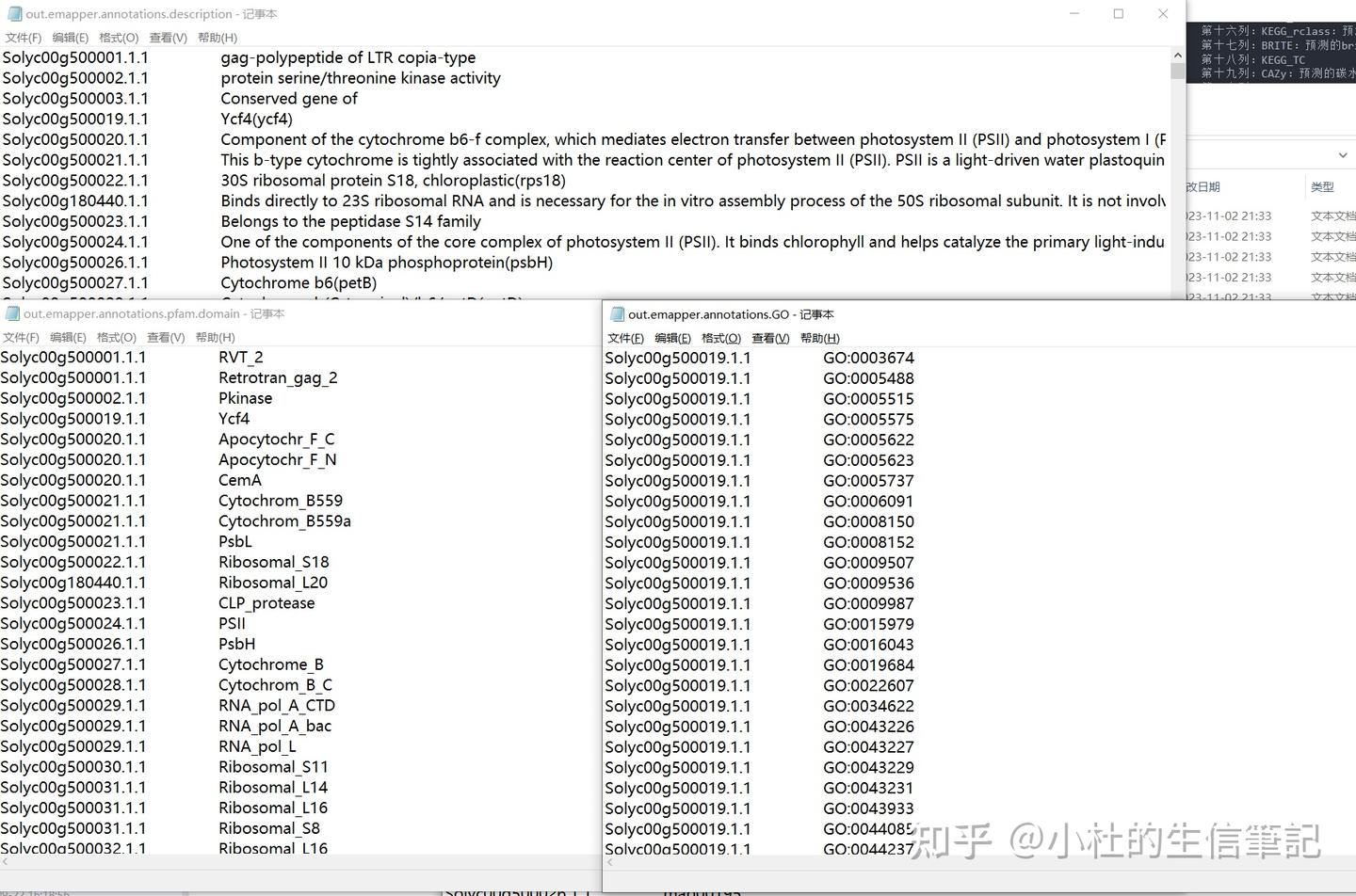 模式植物构建orgDb数据库 | 以org.Slycompersicum.eg.db为例 - 知乎