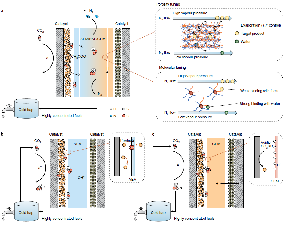 Nature Catalysis一天上线四篇 CO2催化文章: CO2电还原制备高纯度、高浓度液体燃料! - 知乎