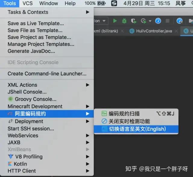 阿里巴巴 《java 开发者手册》 Idea编码插件 知乎