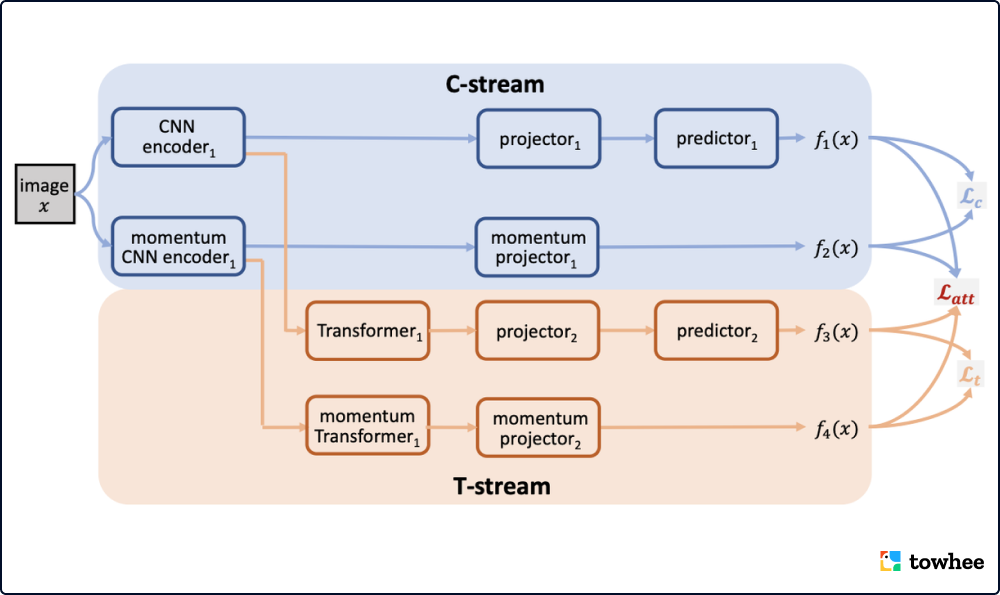 【NeurIPS】CARE：让 CNN 和 Transformer 在对比学习中互相帮助 - 知乎