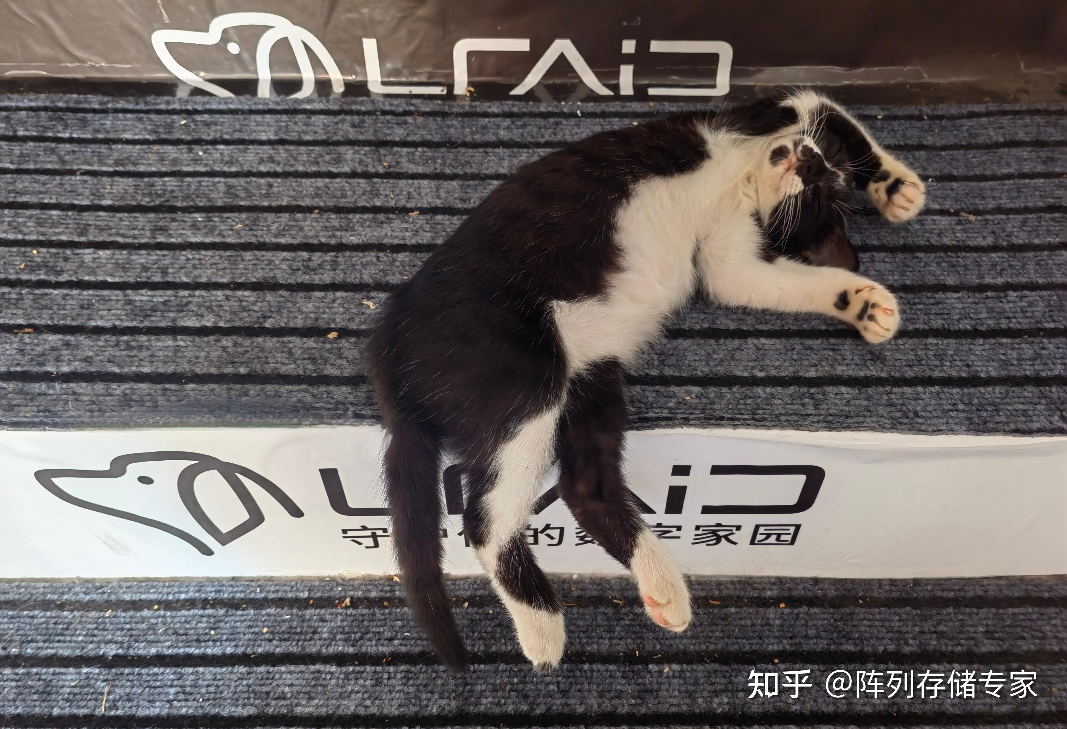 飞牛NAS到底使用EXT4，BTRFS还是ZFS？ - 知乎