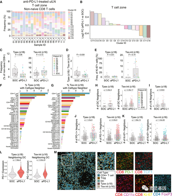 Cell | 发现并激活免疫检测点抑制剂靶向CD8+ T细胞 - 知乎