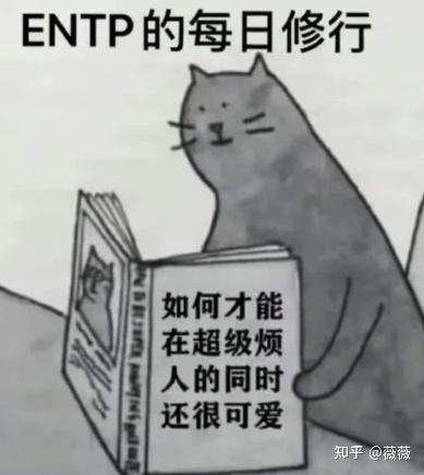 entp为什么最有人格魅力|entp人格魅力 - 知乎