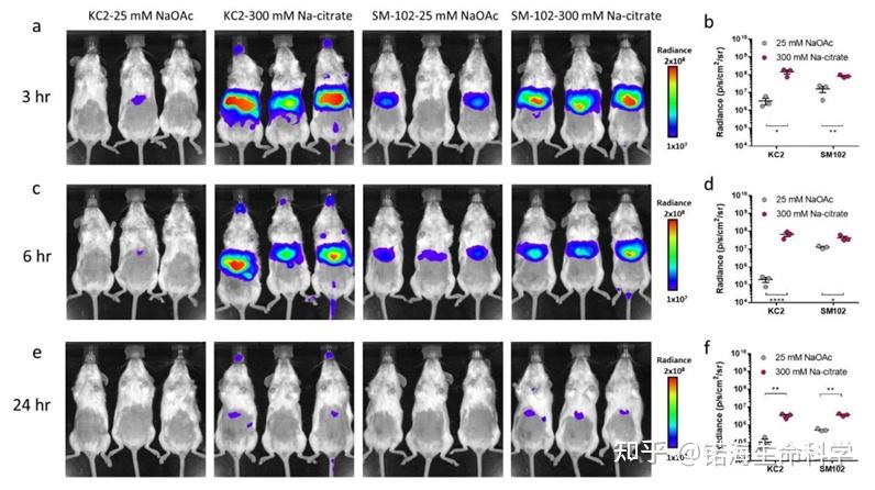 新方法—LNP-mRNA的转染效率可大幅提升！ - 知乎