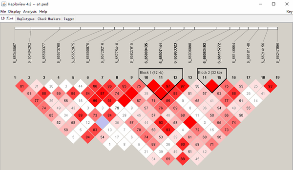 第三篇：Haploview做单倍型教程3--结果解读 - 知乎