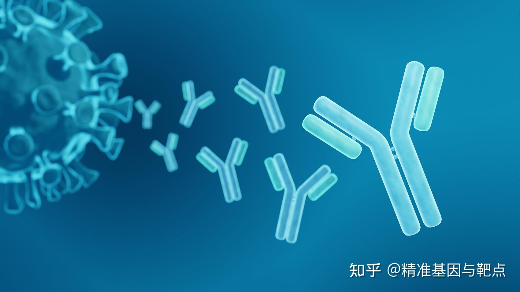 多款肿瘤PD-(L)1/VEGF双抗新药再掀研发“热潮” - 知乎