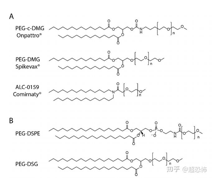 LNP中PEG脂质的作用 - 知乎