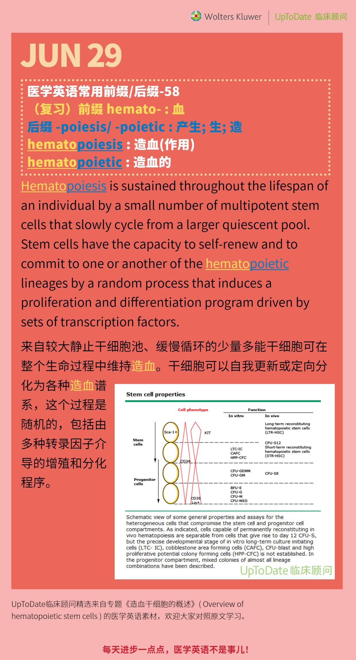 医学英语打卡｜6-29｜后缀 -poiesis/ -poietic - 知乎