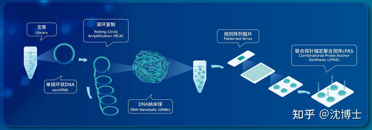 【华大智造MGI】测序仪表面扩增技术剖析 - 知乎