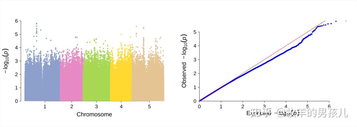 跟着Nature Genetics学GWAS分析：emmax软件gwas分析/qqman包展示结果 - 知乎