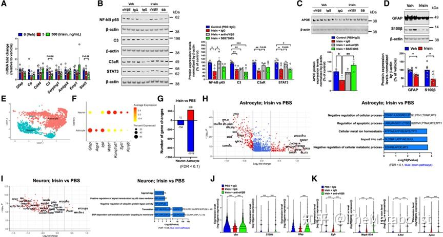 Neuron: Irisin让你不再困在时间里 - 知乎