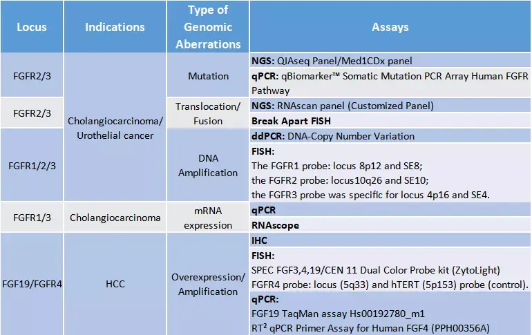 【杰论系列】伴随诊断及生物标志物篇：FGFR - 知乎