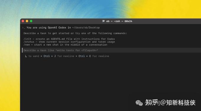 一份 OpenAI CodeX 上手使用的完整攻略 - 知乎