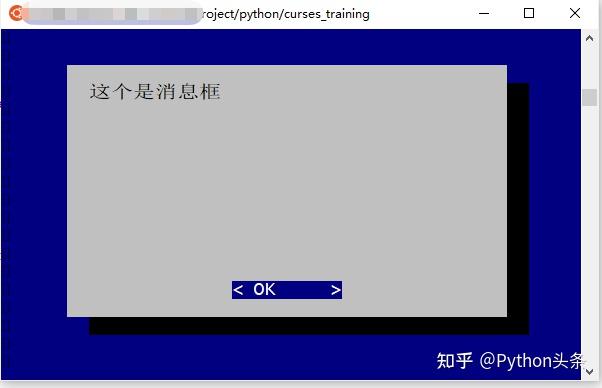 Python 文本终端 GUI 框架，太酷了 - 知乎