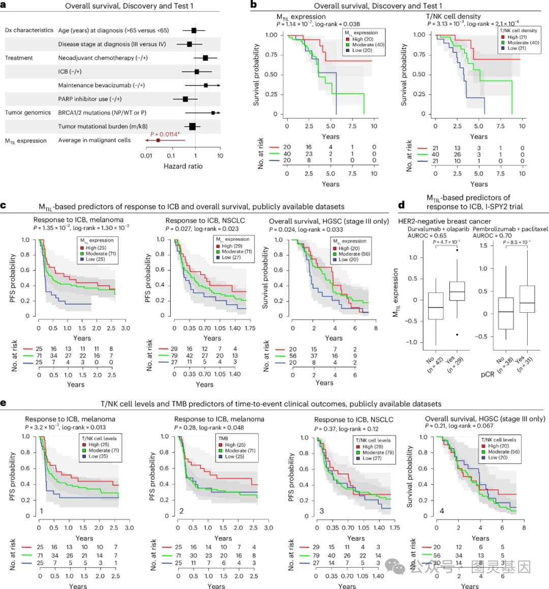Nat Immu | 卵巢癌免疫逃逸的空间组织和细胞调节因子 - 知乎