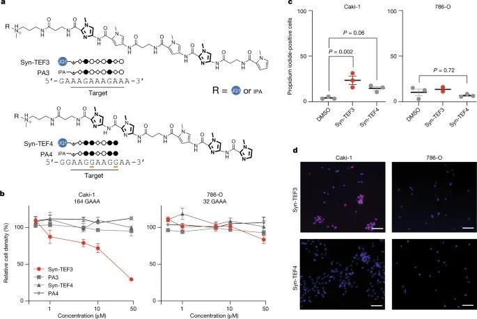 Nature | 大规模分析癌症基因组中的重复序列扩增 - 知乎